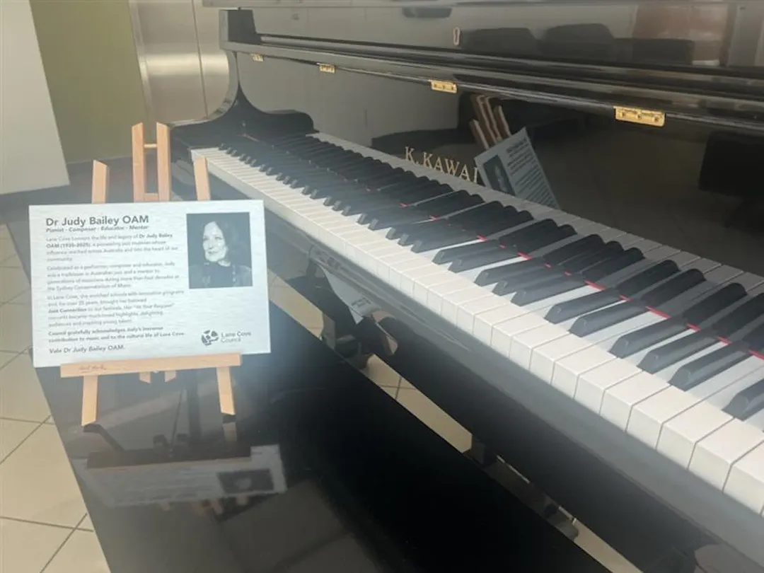 Consultation On Proposed Fees Civic Centre Grand Piano Hire Have